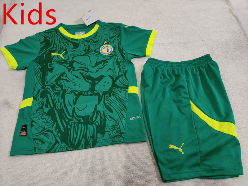 2024-2025 Senegal Away Green Kids/Youth Soccer Uniform-507-Senegal ...